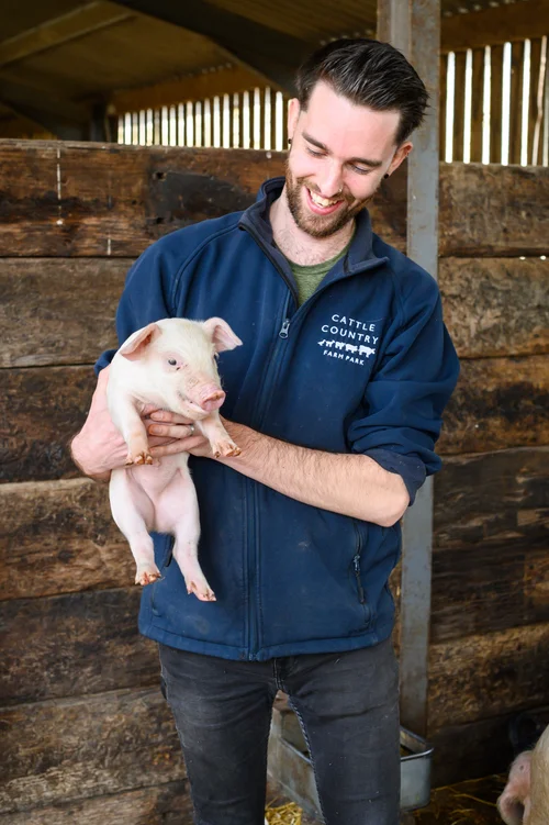 What's On | Things To Do — Cattle Country Farm Park
