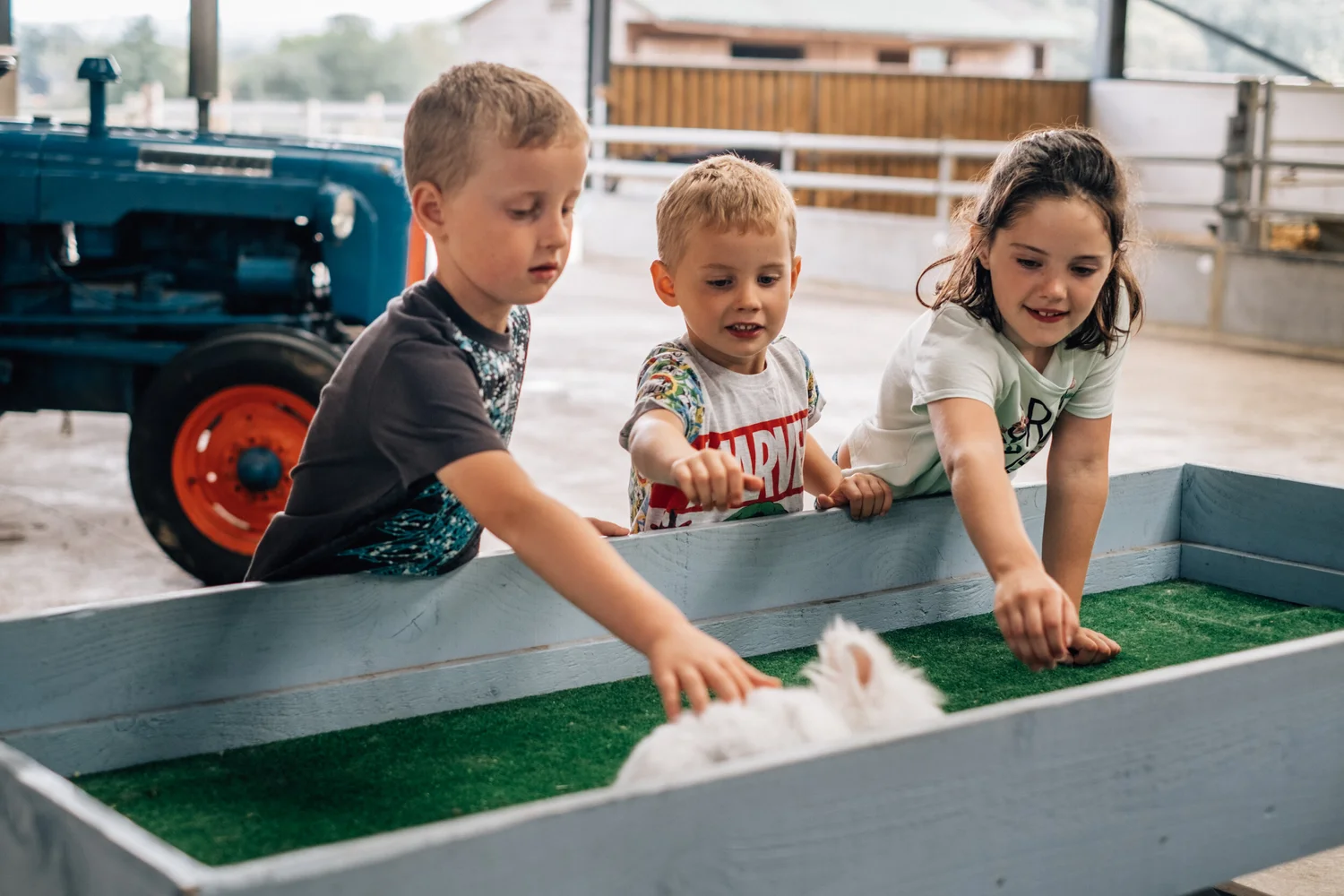 Meet the Animals — Cattle Country Farm Park
