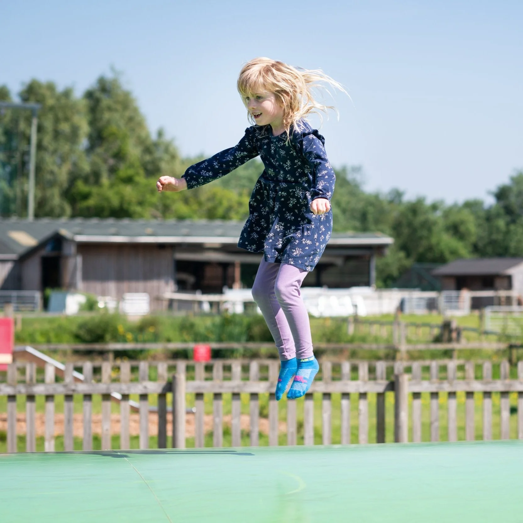 What's On | Things To Do — Cattle Country Farm Park