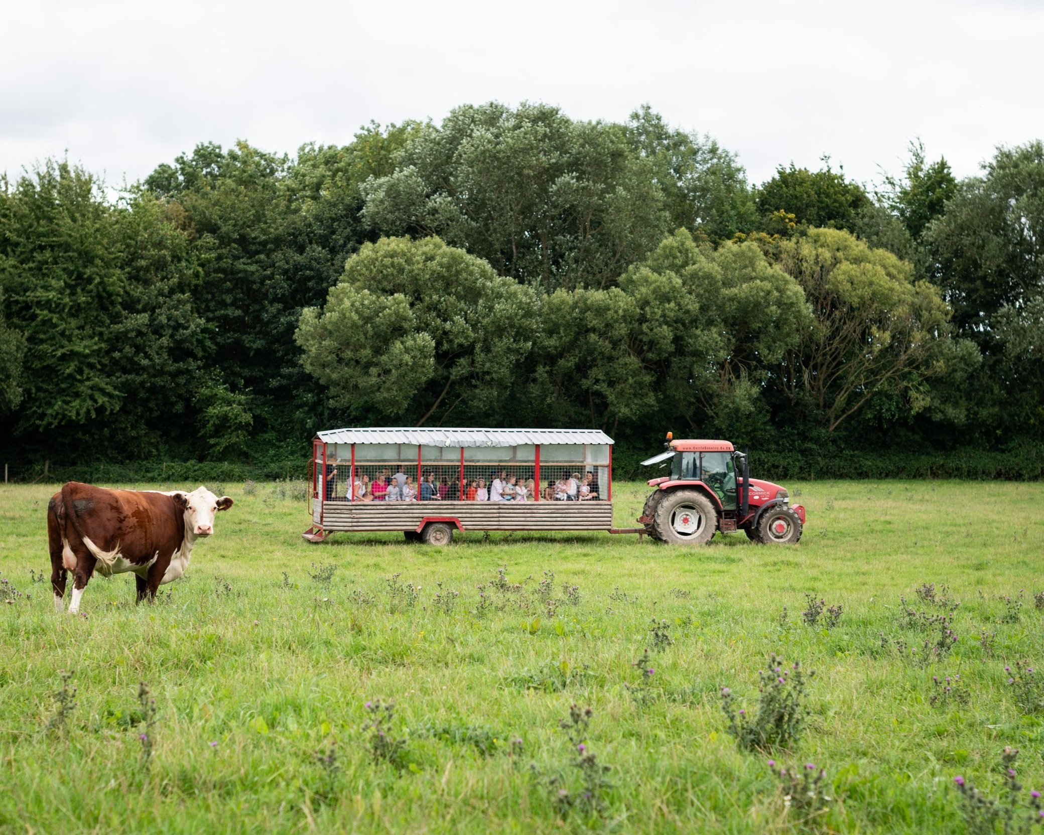 Find us — Cattle Country Farm Park