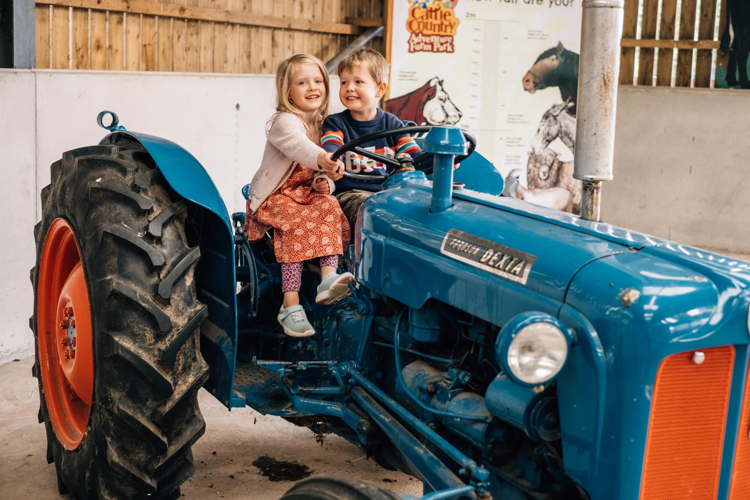 Meet the farm animals — Cattle Country Farm Park