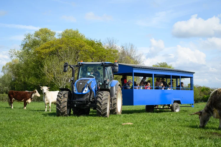 What's On | Things To Do — Cattle Country Farm Park