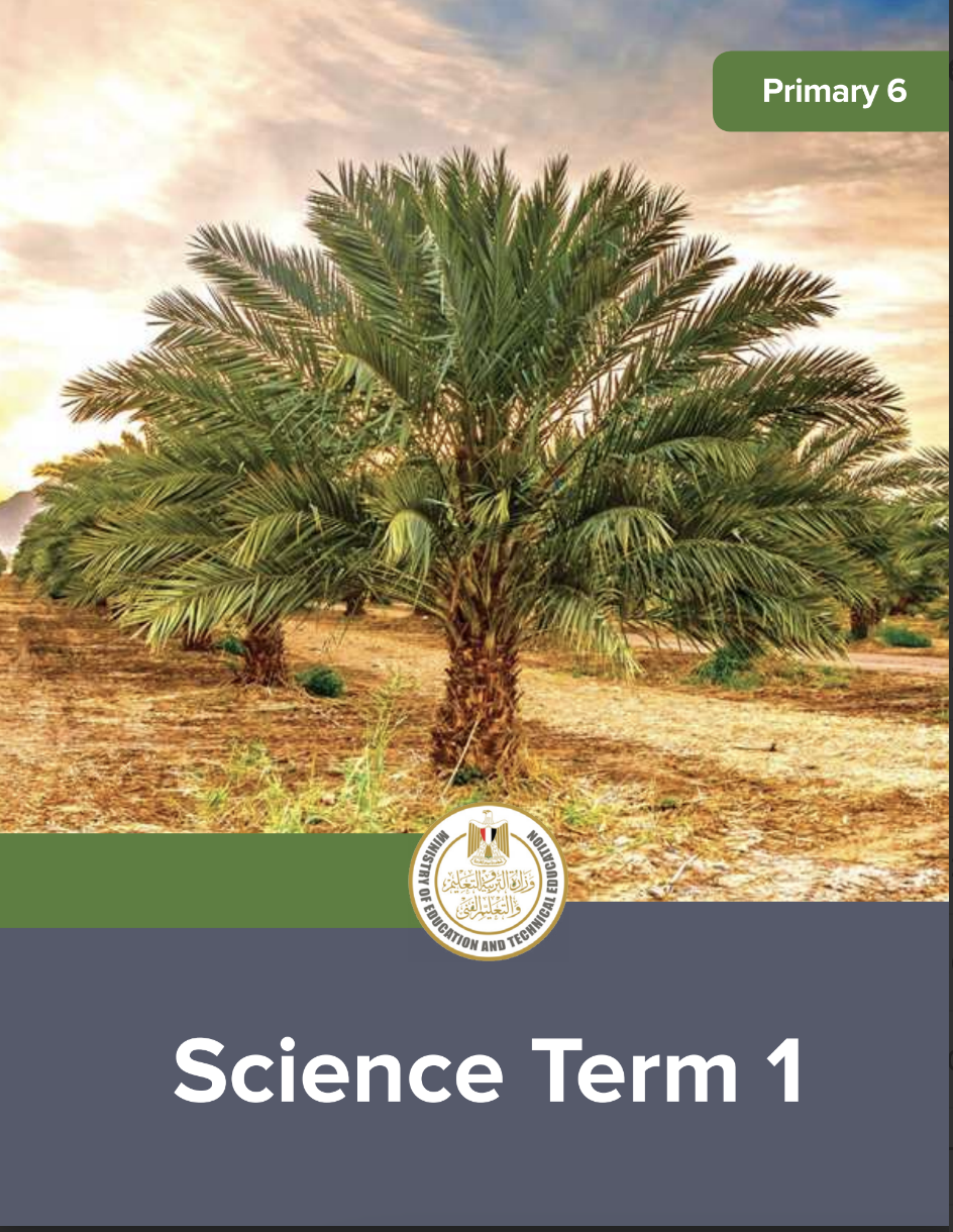 GRADE 6 — Education 2.0 Research & Documentation Project مشروع بحث ...