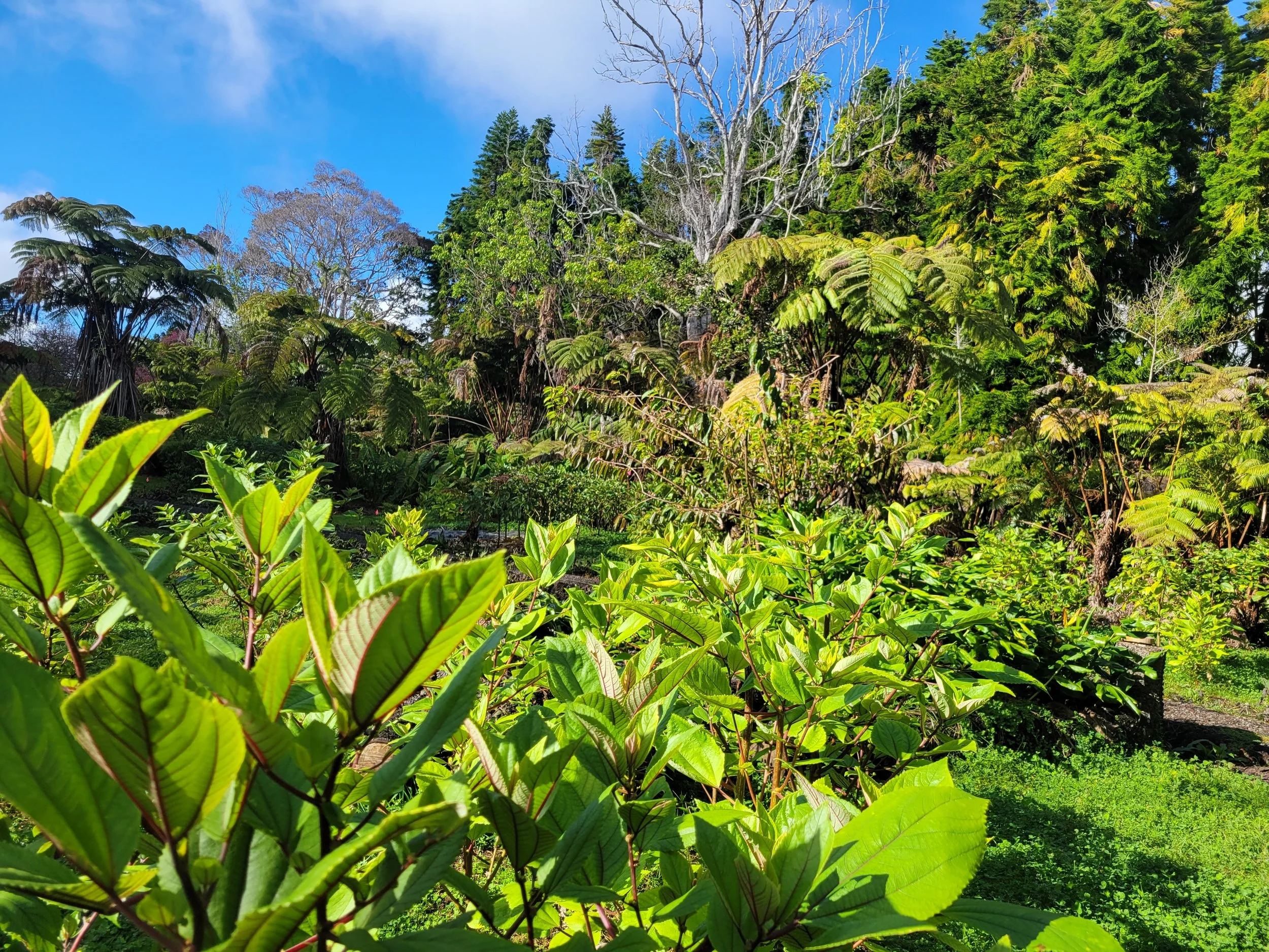 TOURS — Hawaii Forest Farms
