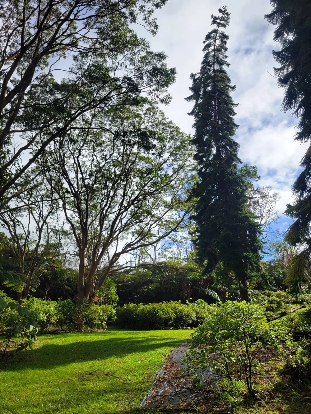 TOURS — Hawaii Forest Farms