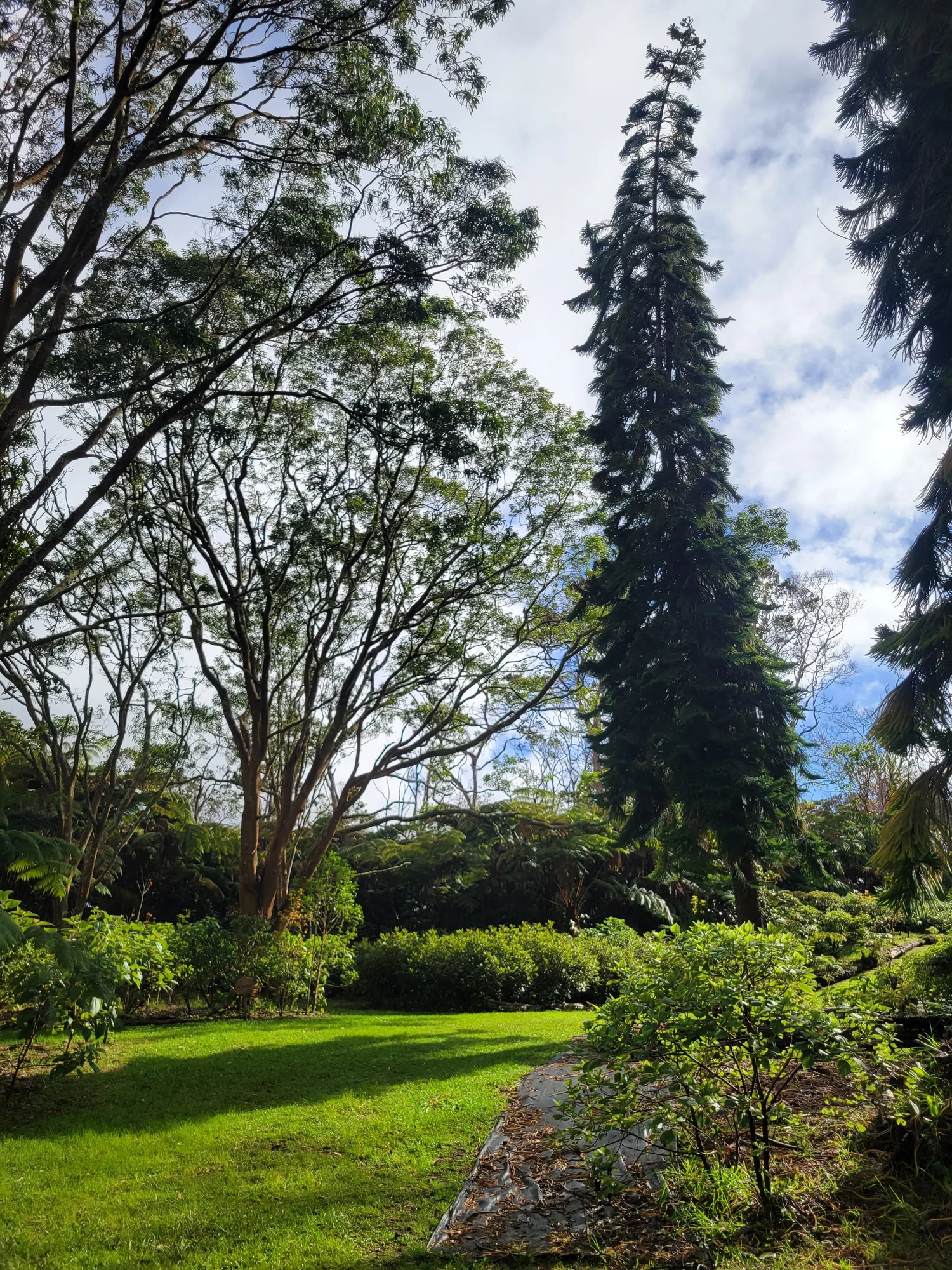 TOURS — Hawaii Forest Farms