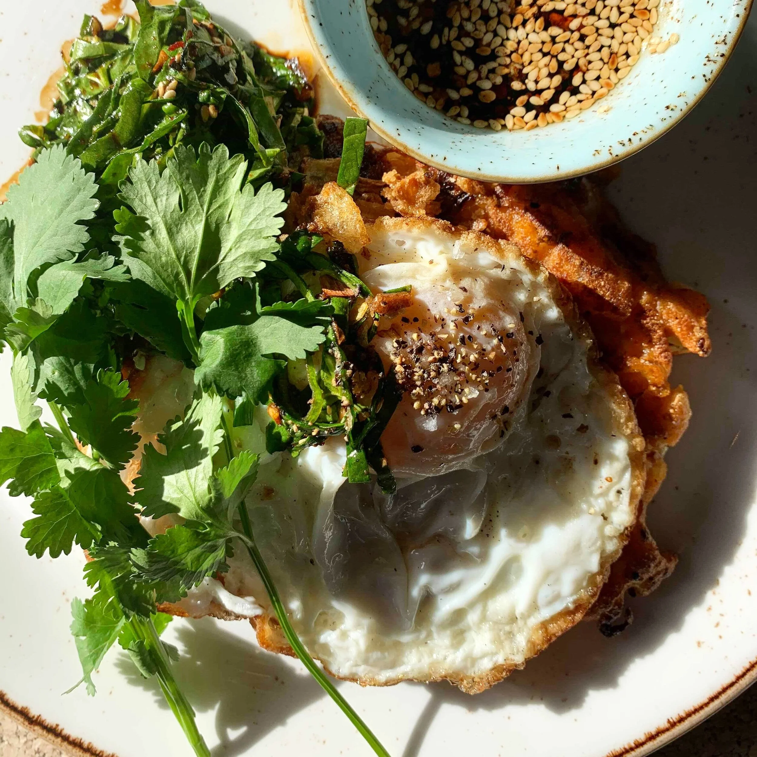 Our Food — OMNI