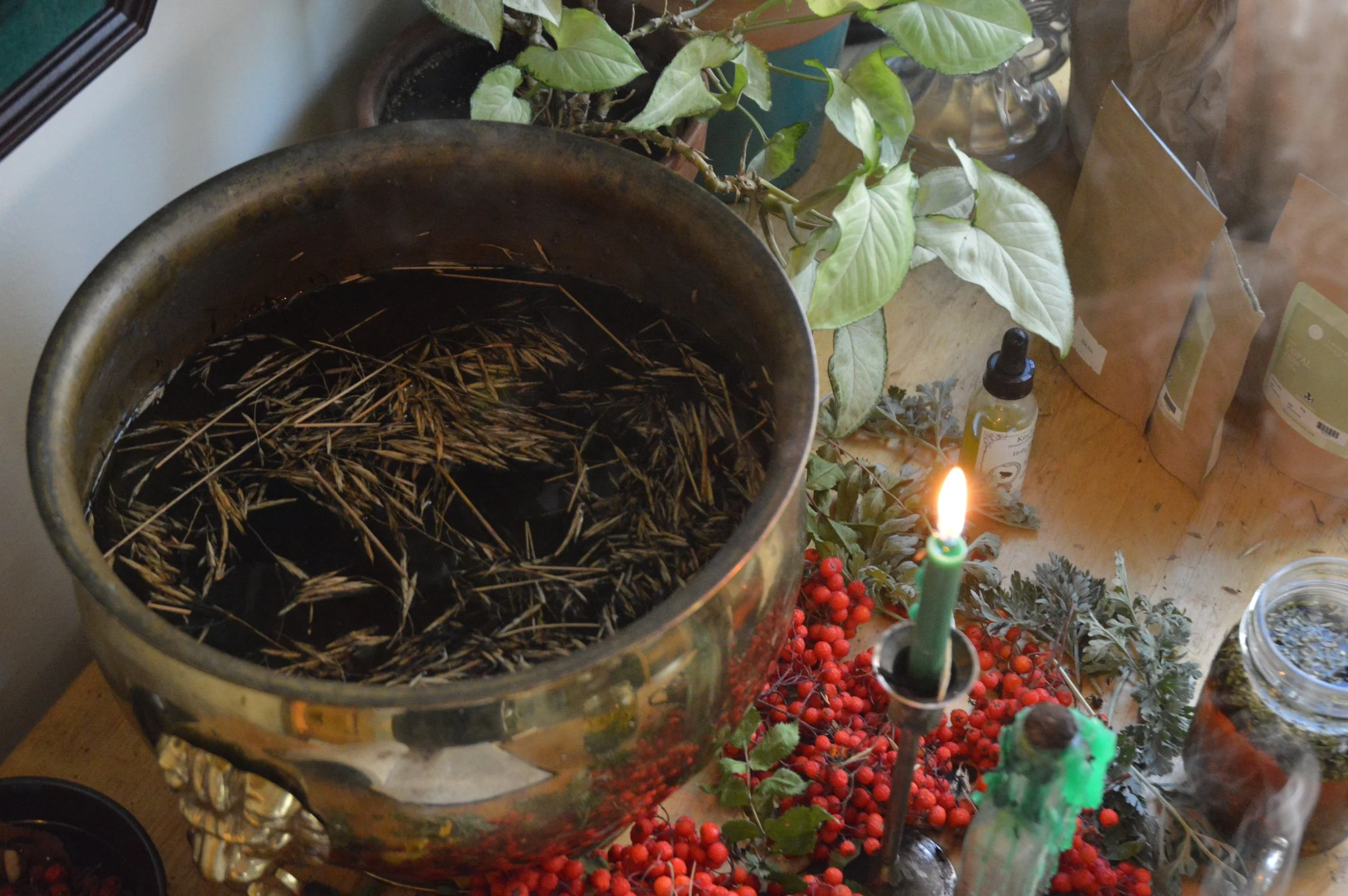 Fixed Star Spica — Kitchen Toad