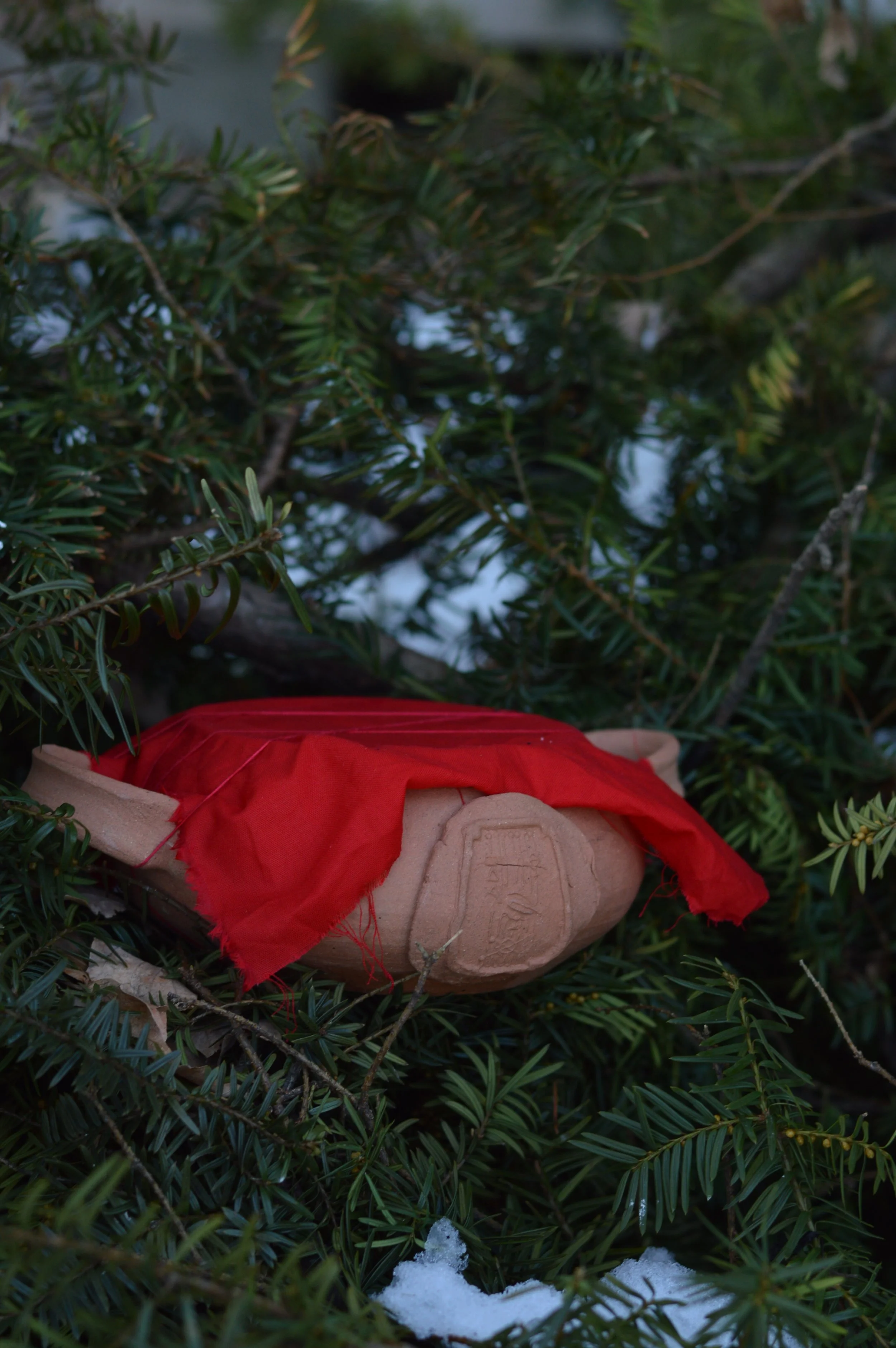 The Winter Mother's Cauldron — Kitchen Toad