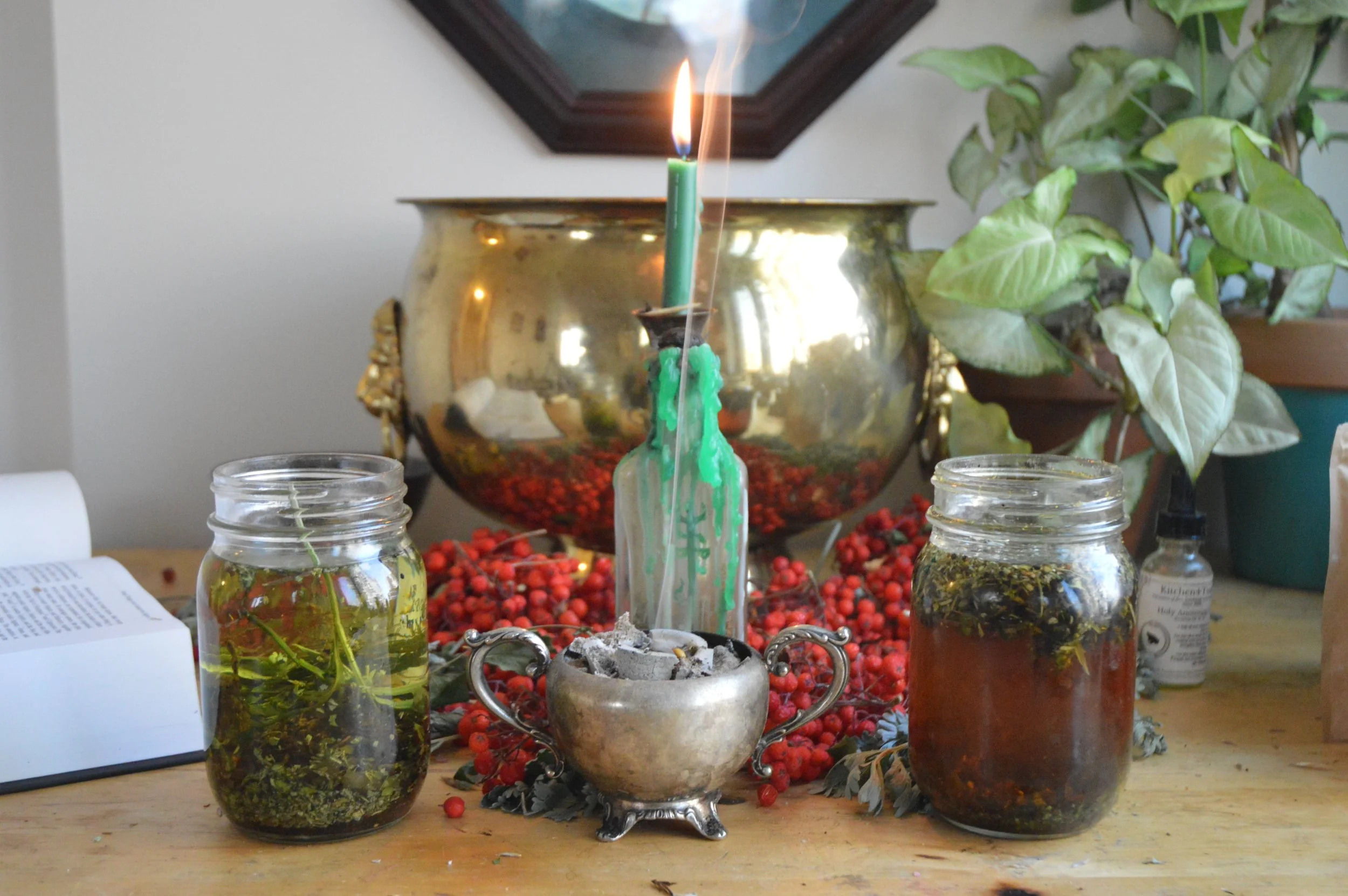 Fixed Star Spica — Kitchen Toad