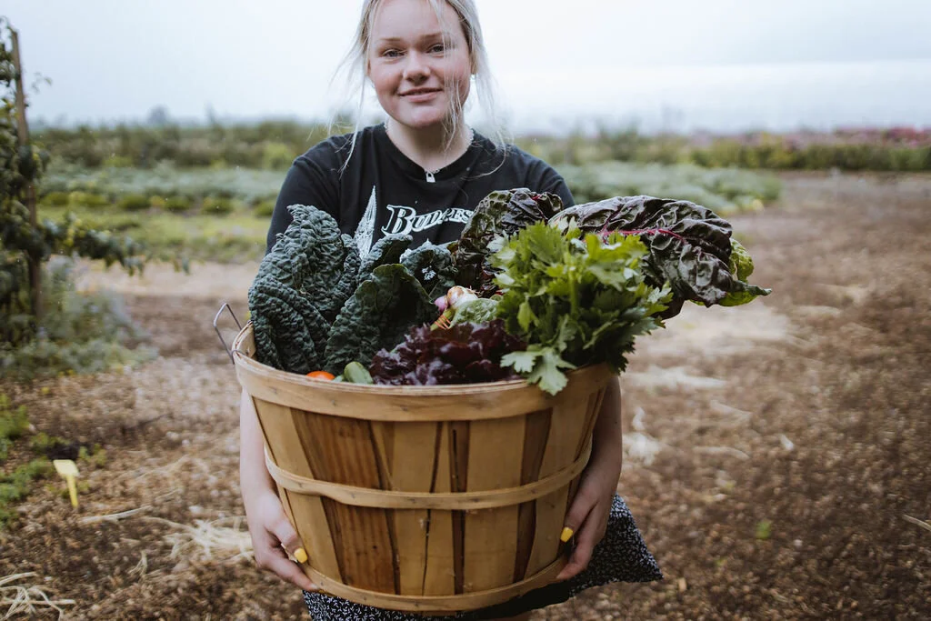 Harvest Boxes and Organic Breads — Local Harvest Chilliwack