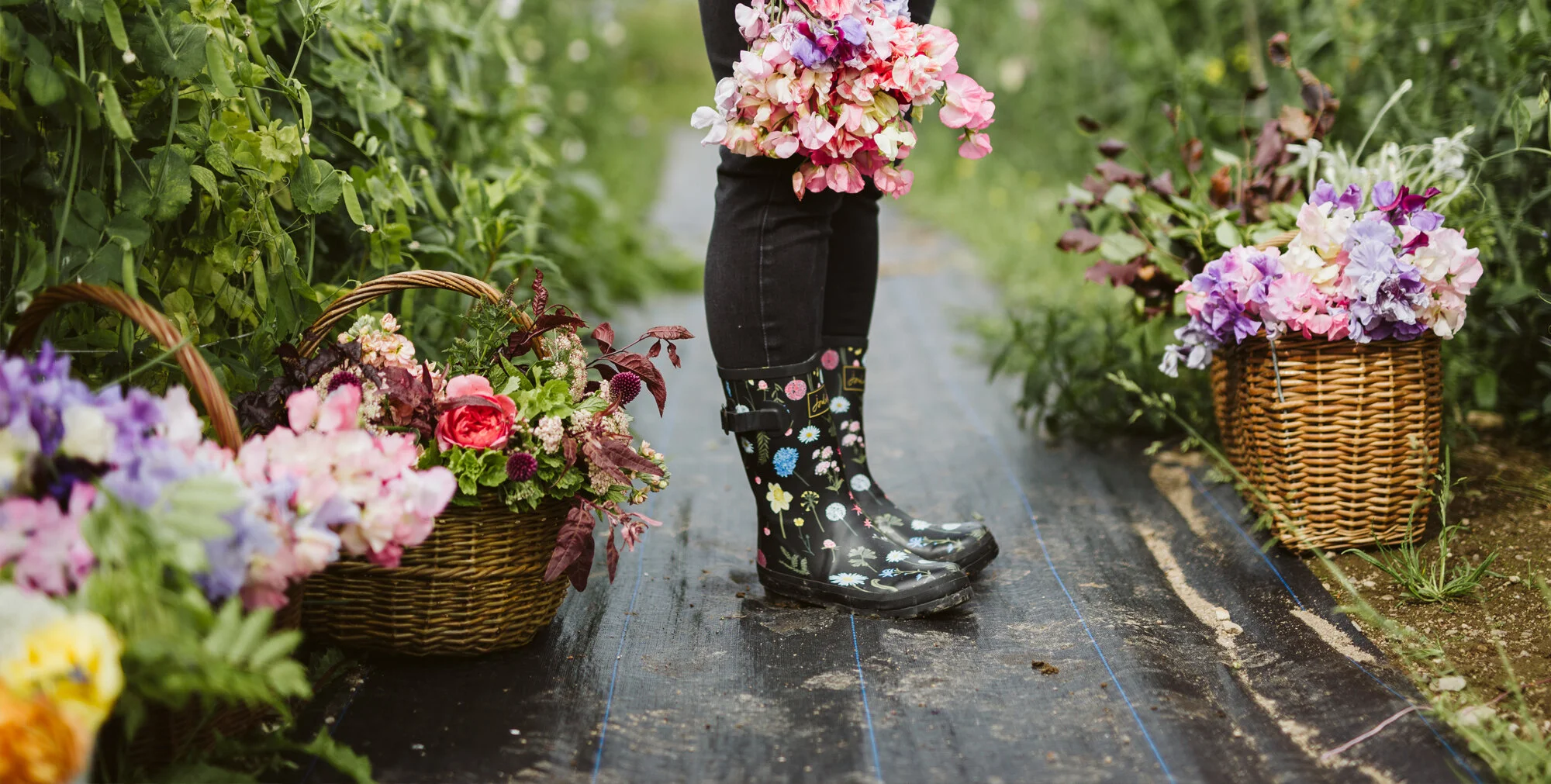 Flower Farm Ireland, Flowers grown in Carlow Ireland. Seasonal Irish ...