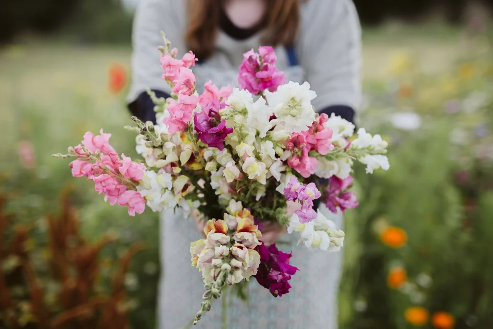 Flower Farm Ireland, Flowers grown in Carlow Ireland. Seasonal Irish ...