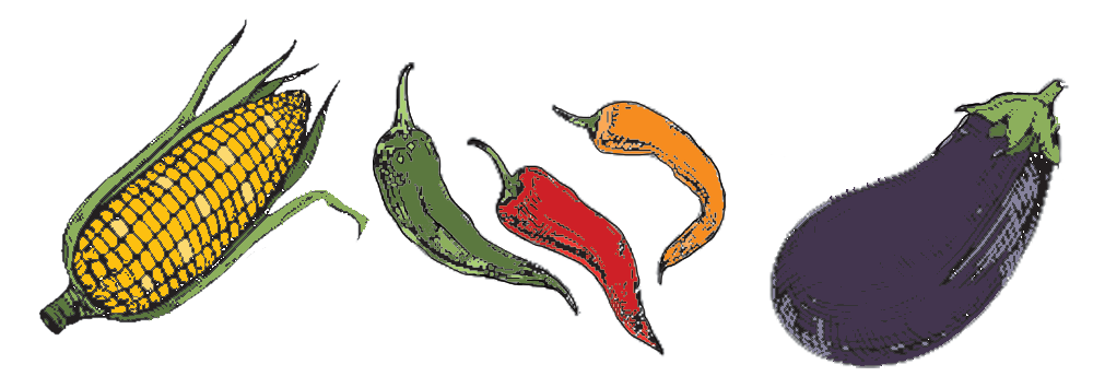 Menu — Bloom Bistro & Grocery