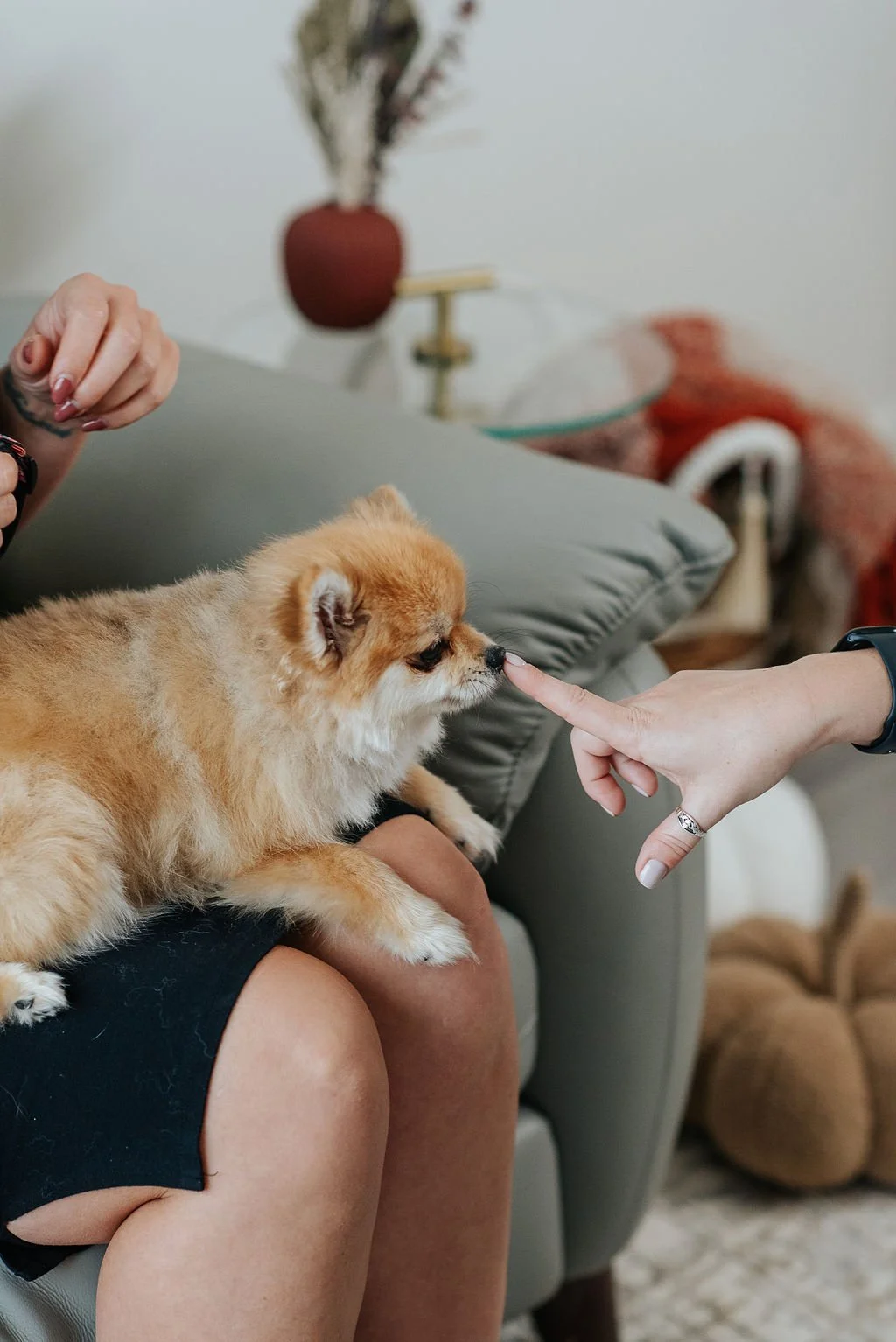 The Benefits of Canine-Assisted Therapy for Individuals with Fetal ...