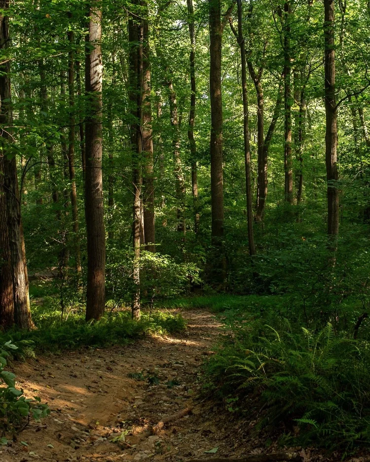 Mission — Reflection Park