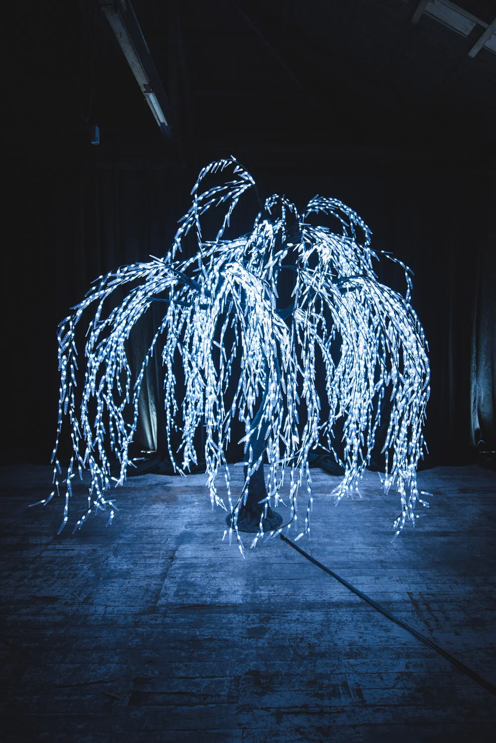 LED Light-Up Trees for Event Hire | Gravity Events NZ — Gravity Events