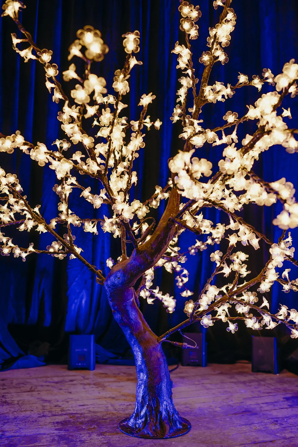 Light Up Trees — Gravity Events