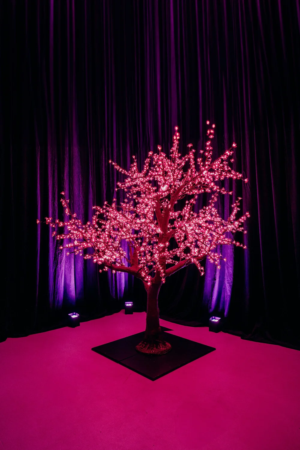 LED Light-Up Trees for Event Hire | Gravity Events NZ — Gravity Events