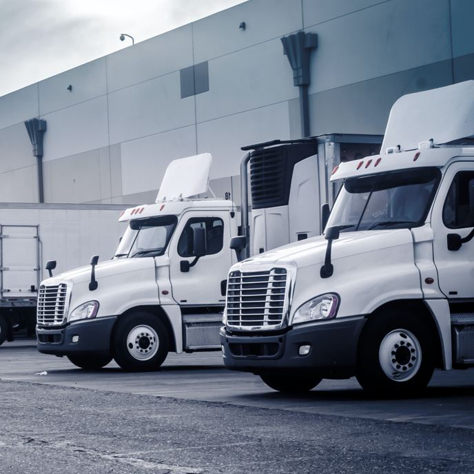 AMG Global Distribution — Our Services