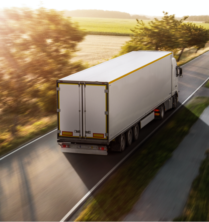 AMG Global Distribution — Our Services