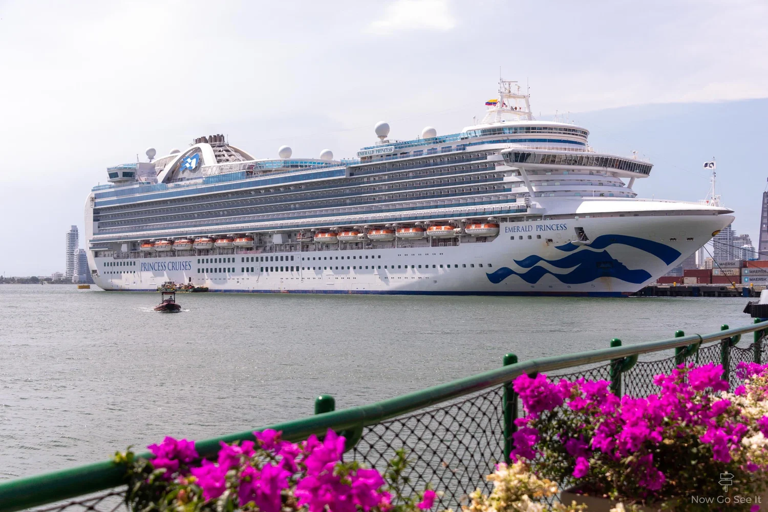 Cruising During COVID