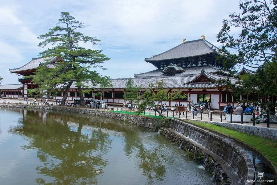 Nara Park Day Trip: Nara Half Day Itinerary (Osaka / Kyoto)