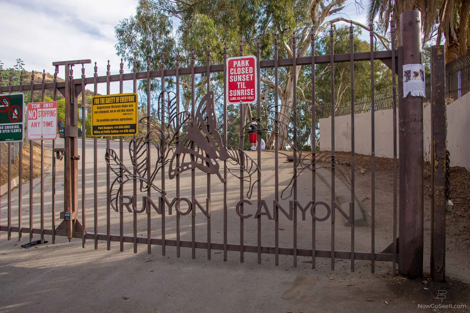 Runyon Canyon Park Hike