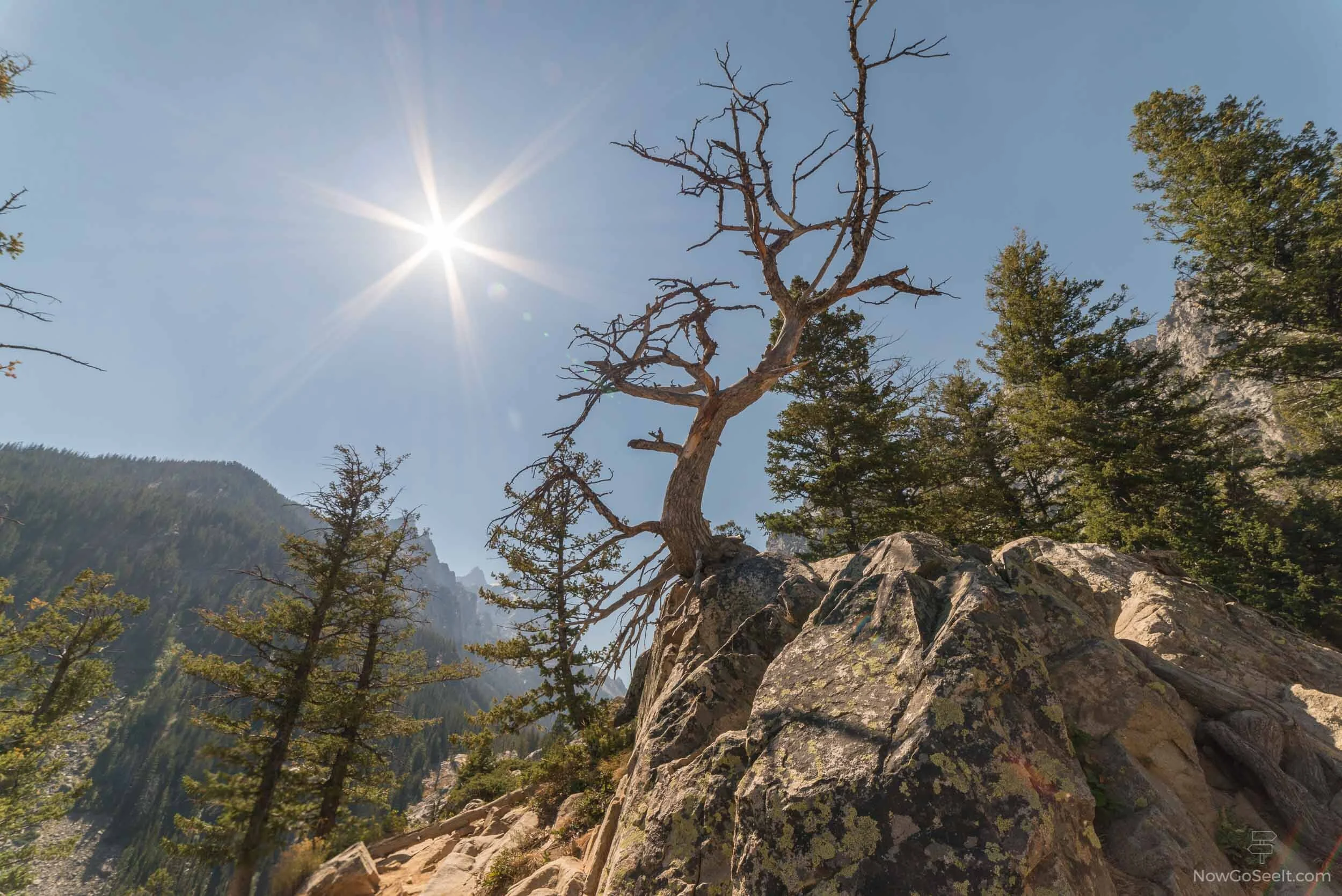 Grand Teton Nation Park Itinerary