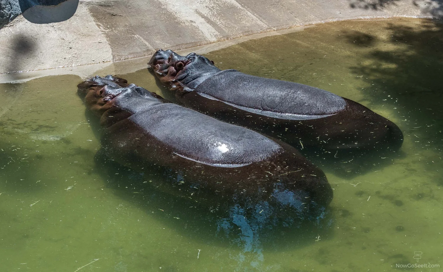 Visiting the Los Angeles Zoo and Botanical Gardens
