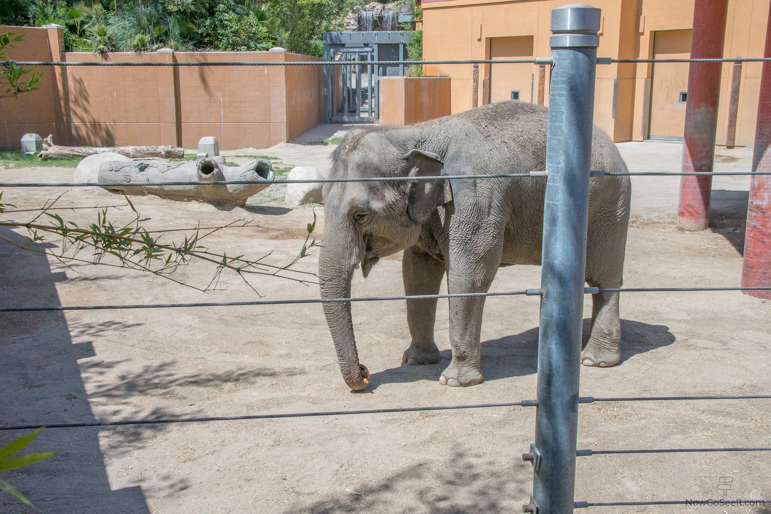 Visiting the Los Angeles Zoo and Botanical Gardens