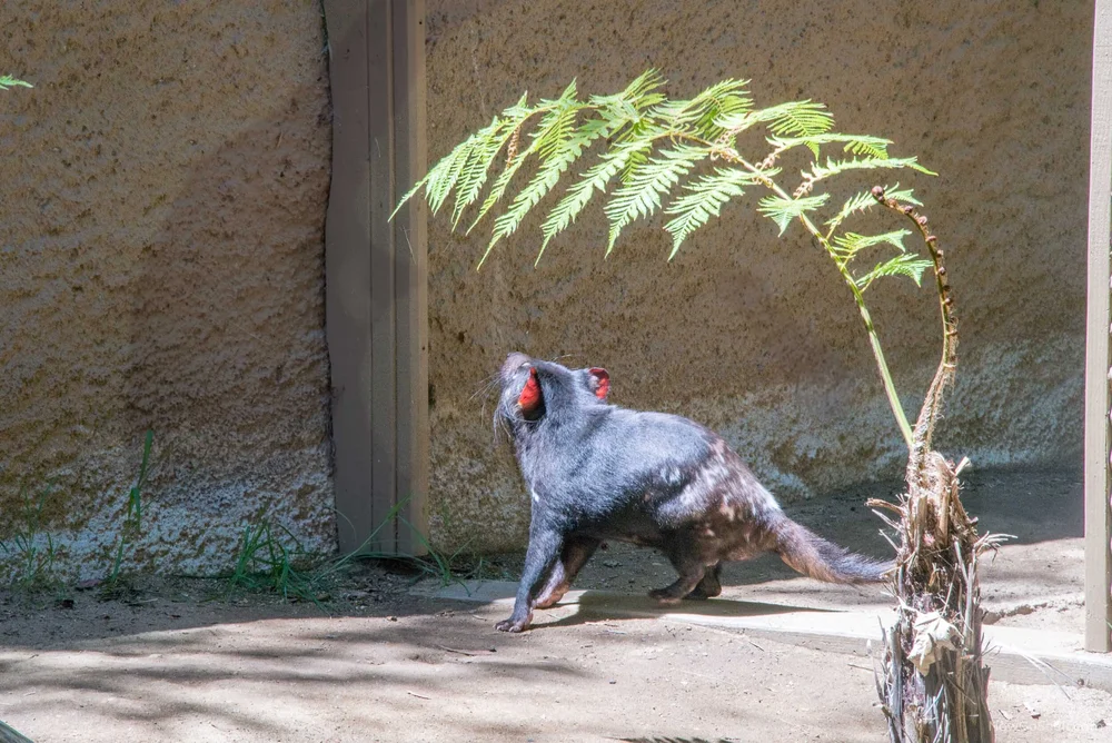 Visiting the Los Angeles Zoo and Botanical Gardens