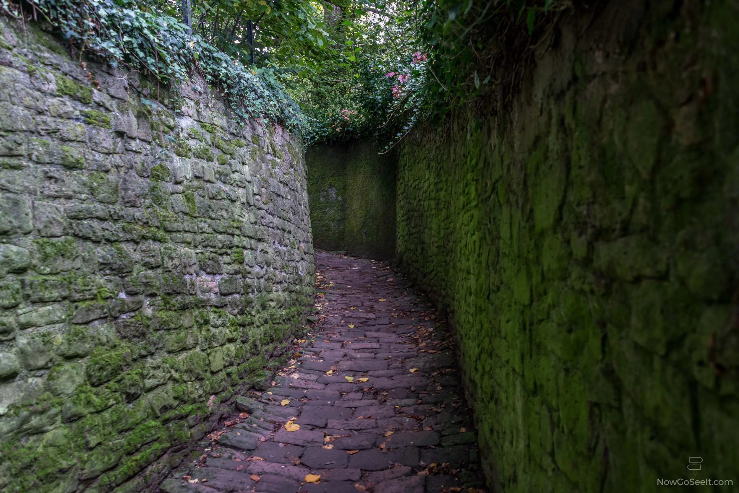 Heidelberg One Day Itinerary — Now Go See It - A Worldwide Travel Blog