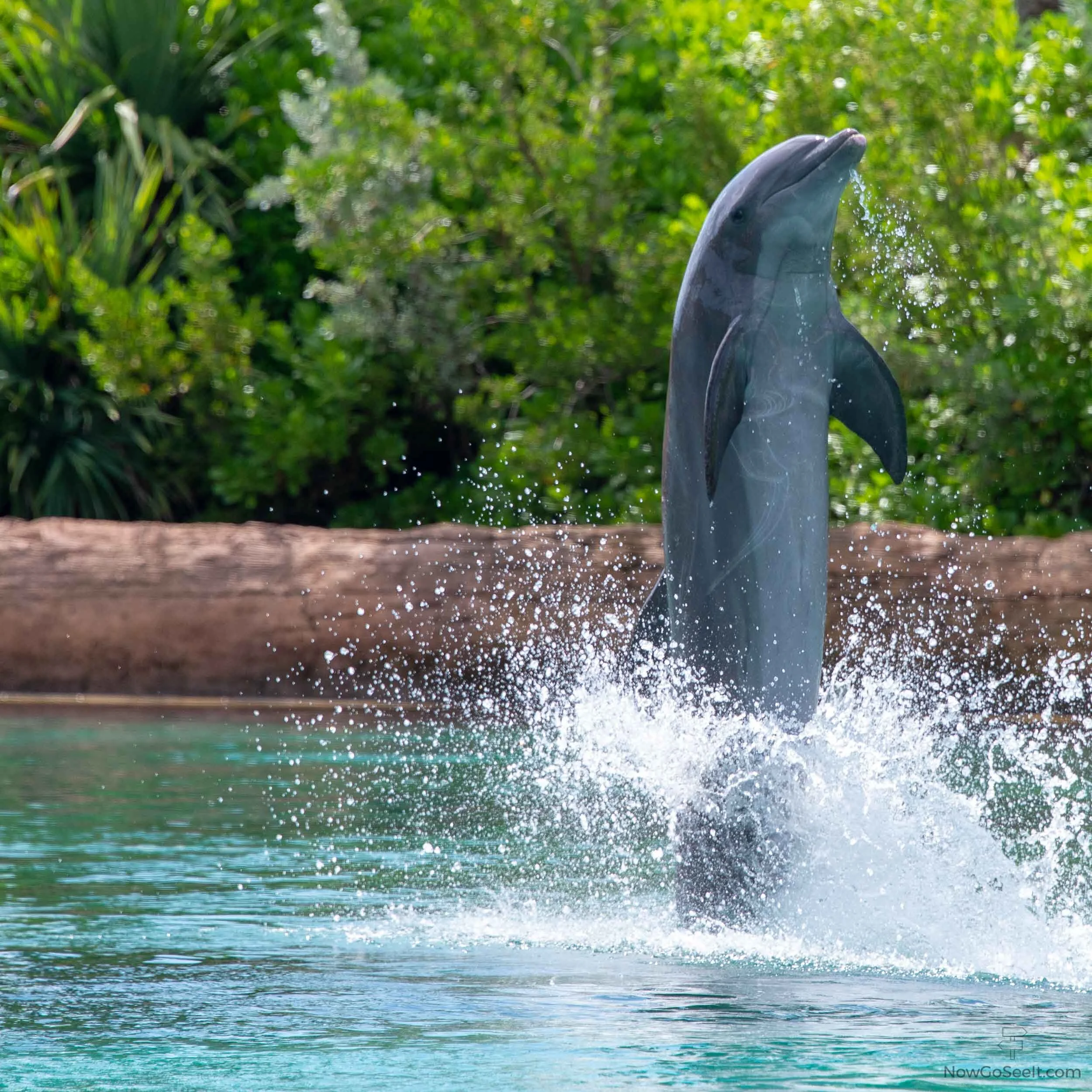 Three days at Atlantis Paradise Island