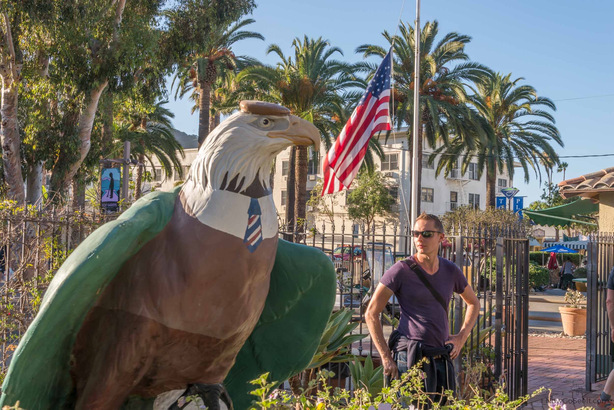 10 Things to Do on Catalina Island — Now Go See It - A Worldwide Travel ...