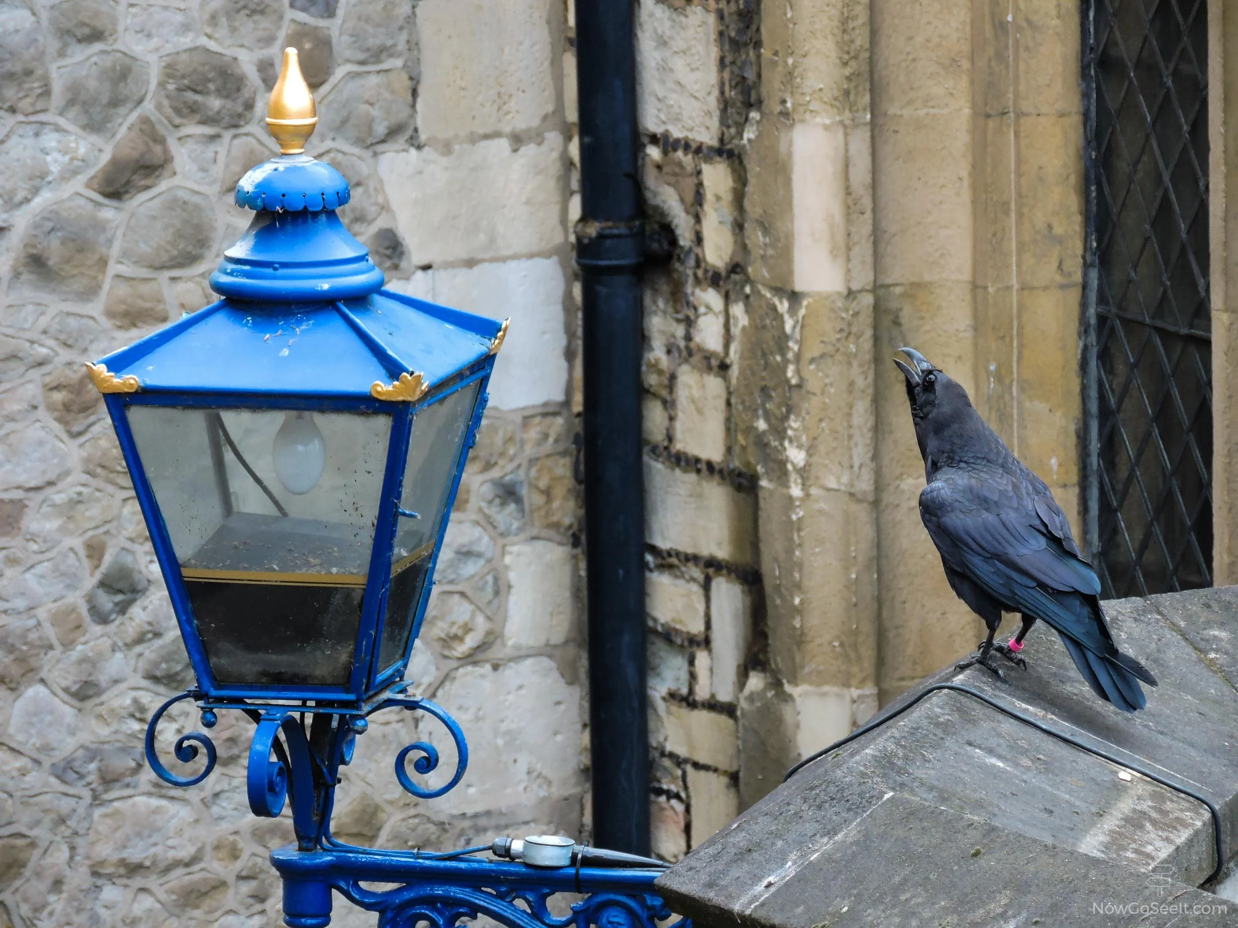 Visiting the Tower of London and Tower Bridge