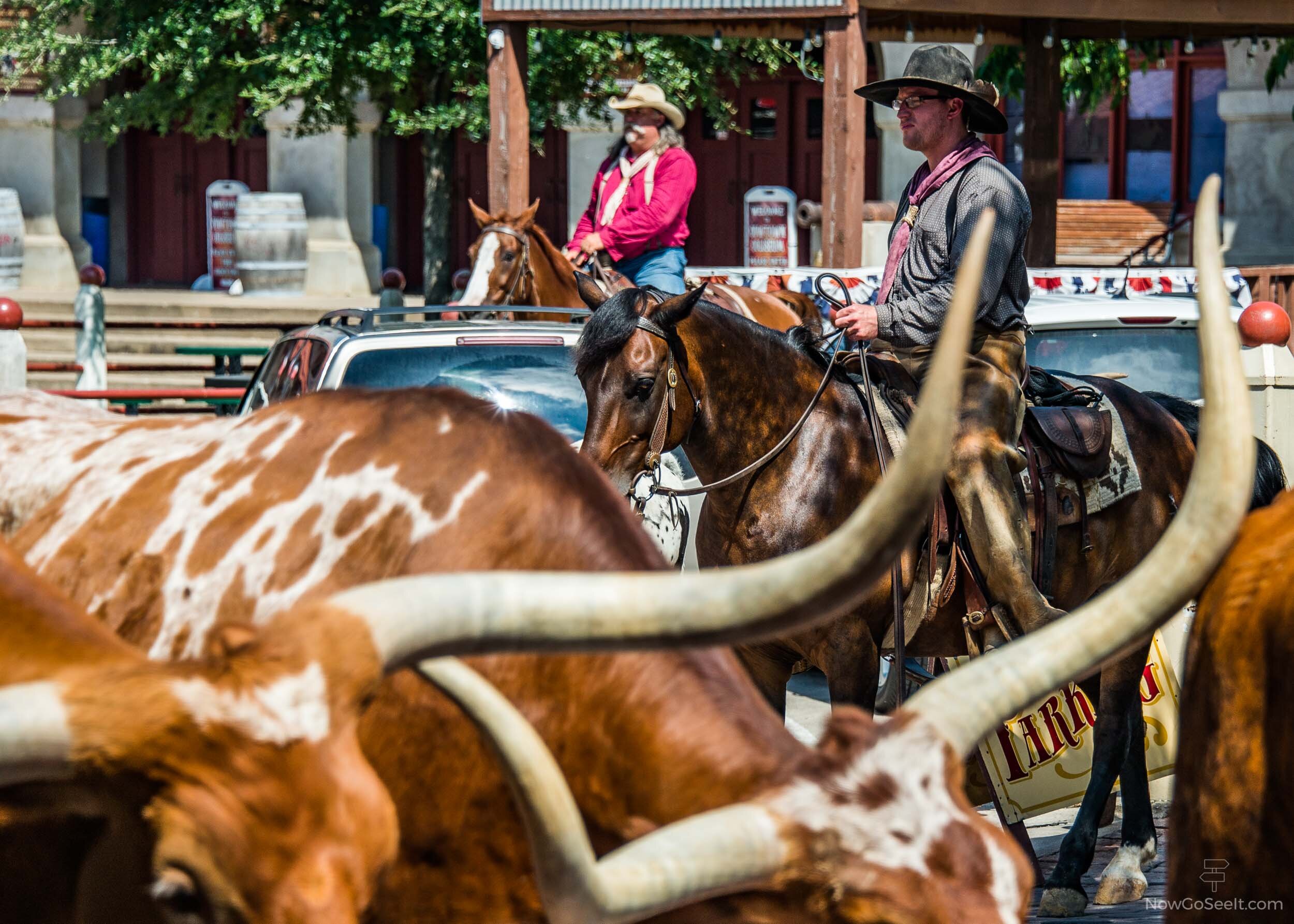 5 Things to See in Dallas and Fort Worth
