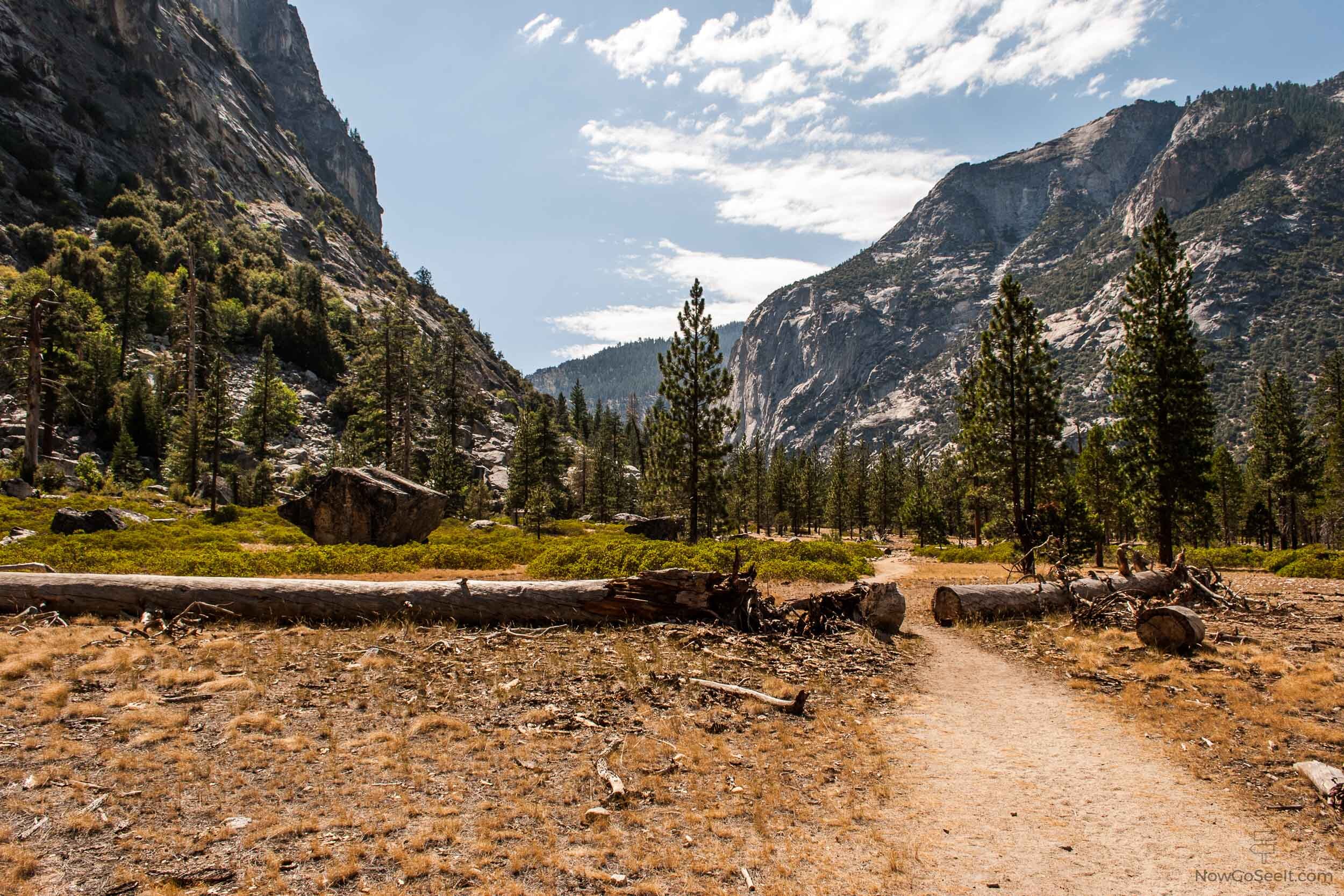 10 Things to See in Sequoia and Kings Canyon