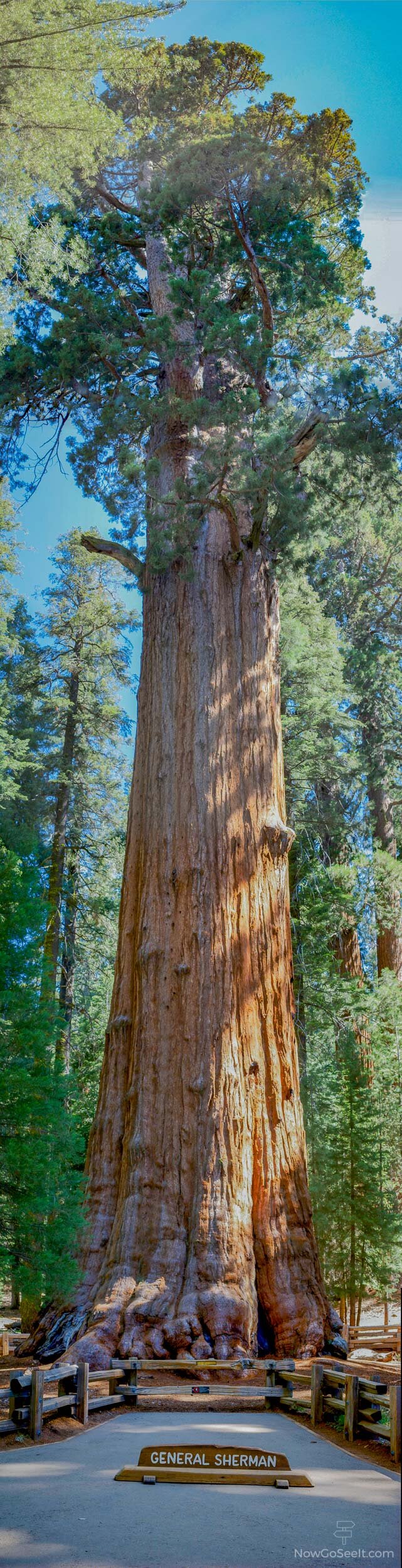 10 Things to See in Sequoia and Kings Canyon