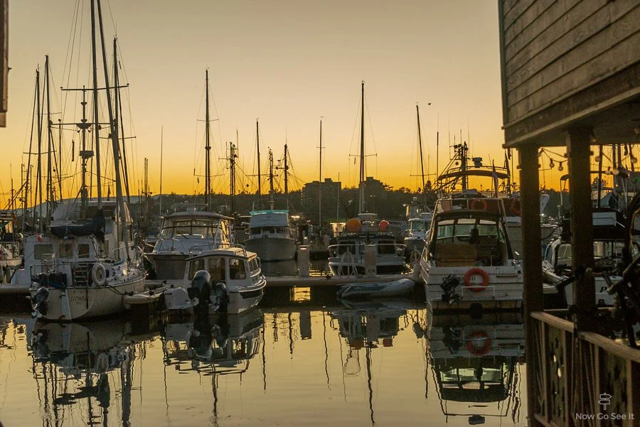 Cruise Ports in Alaska: Guide to Every Alaska Cruise Port