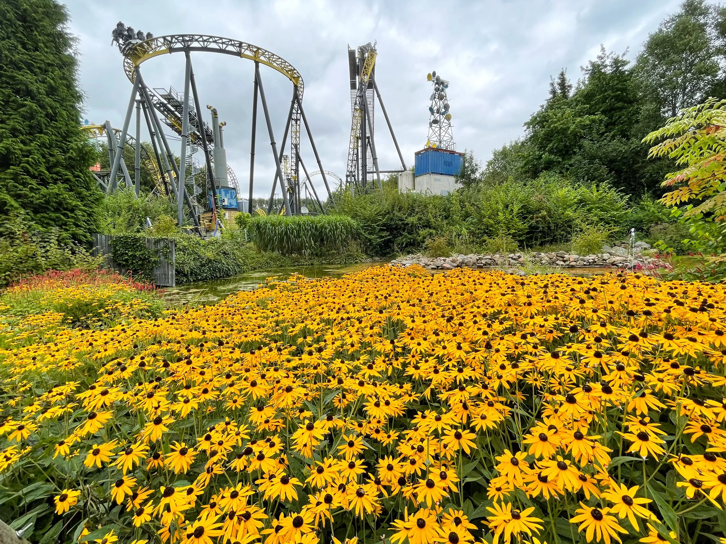 Walibi Holland Day Trip from Amsterdam