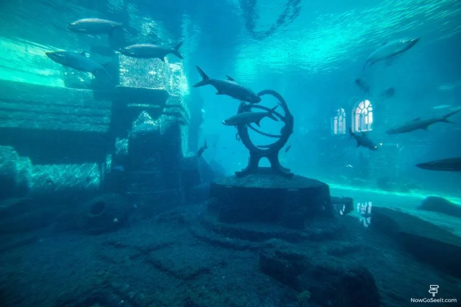 Atlantis Paradise Island: Is Atlantis Bahamas Worth It?