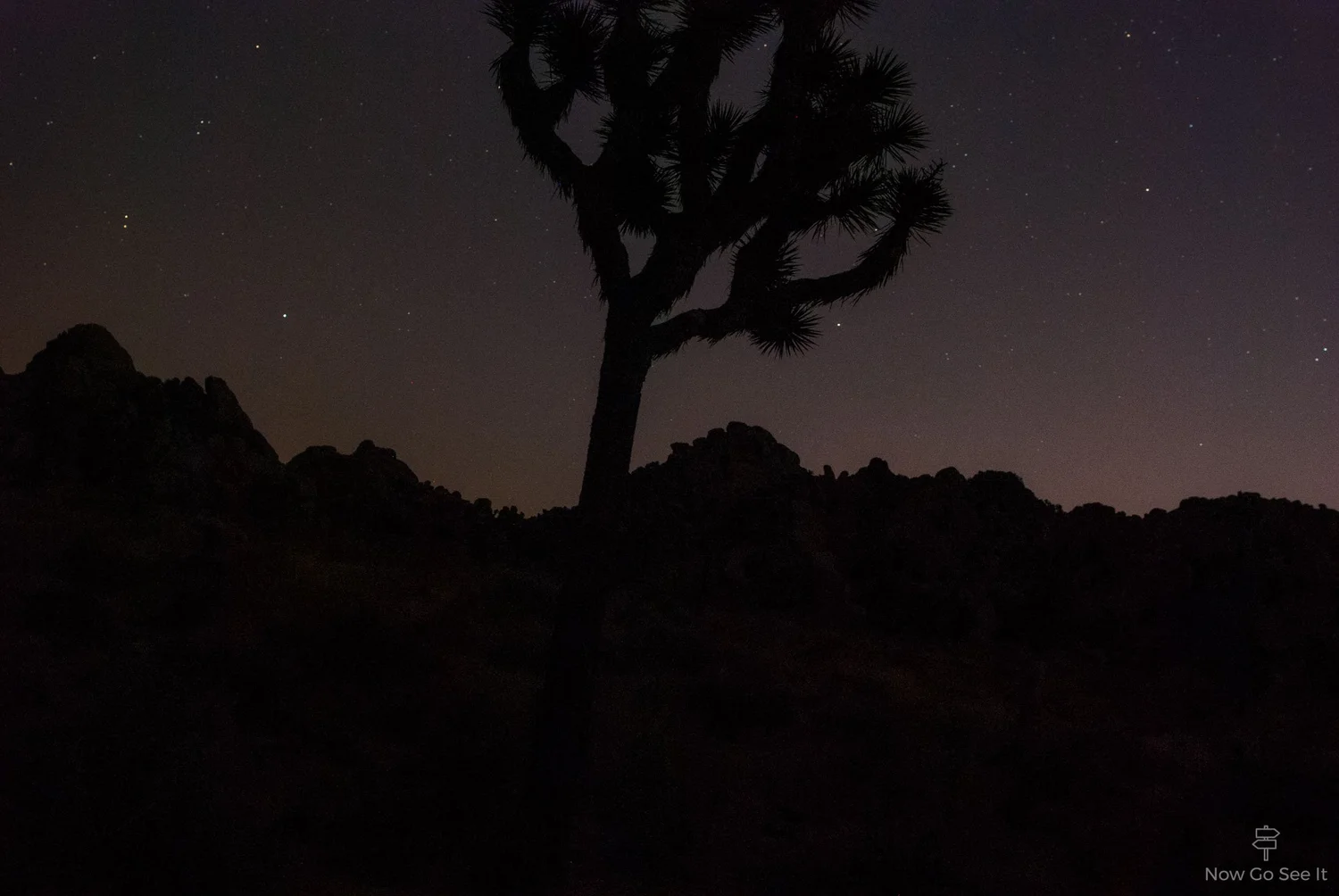 A Day in Joshua Tree
