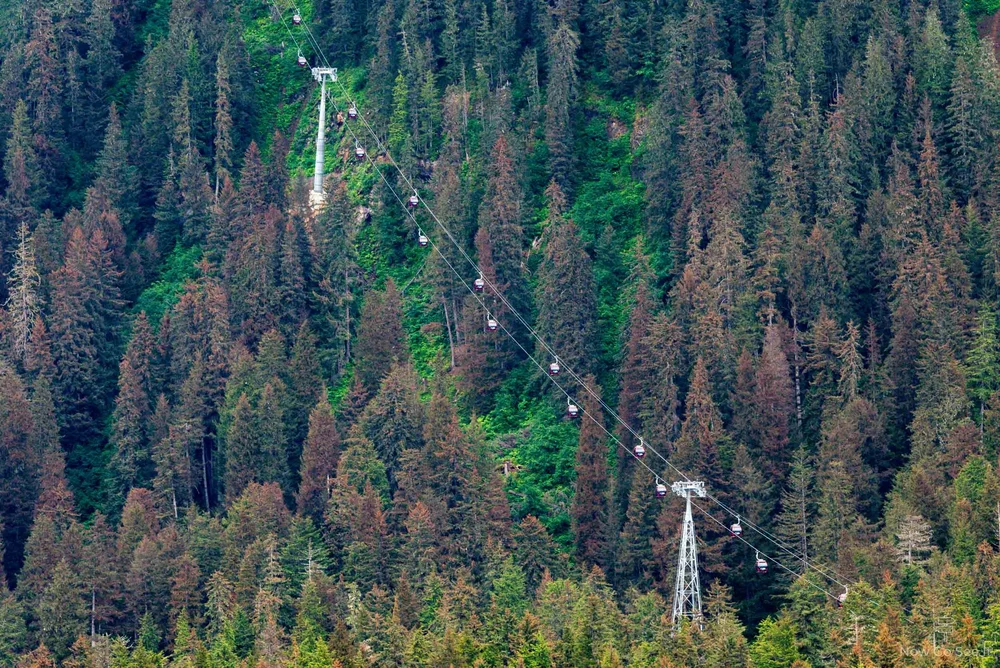 Icy Strait Point on Your Own