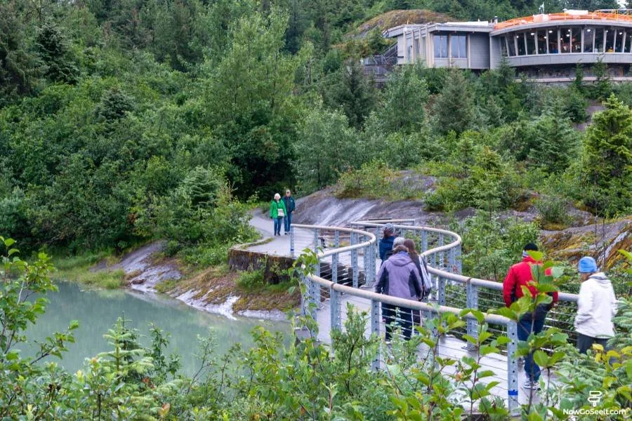 Mendenhall Glacier From Juneau Alaska: See it On Your Own