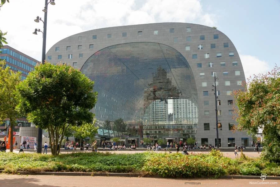 Day Trip to Rotterdam From Amsterdam: One Day in Rotterdam