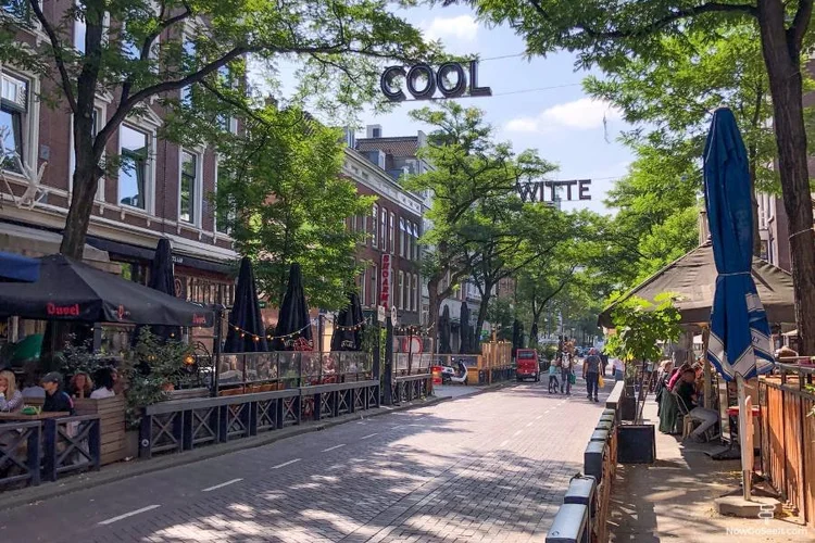 Day Trip to Rotterdam From Amsterdam: One Day in Rotterdam
