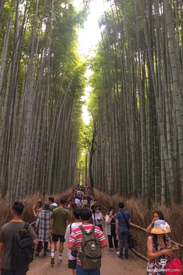 Things To See in Kyoto, Japan: Kyoto Itinerary Planner