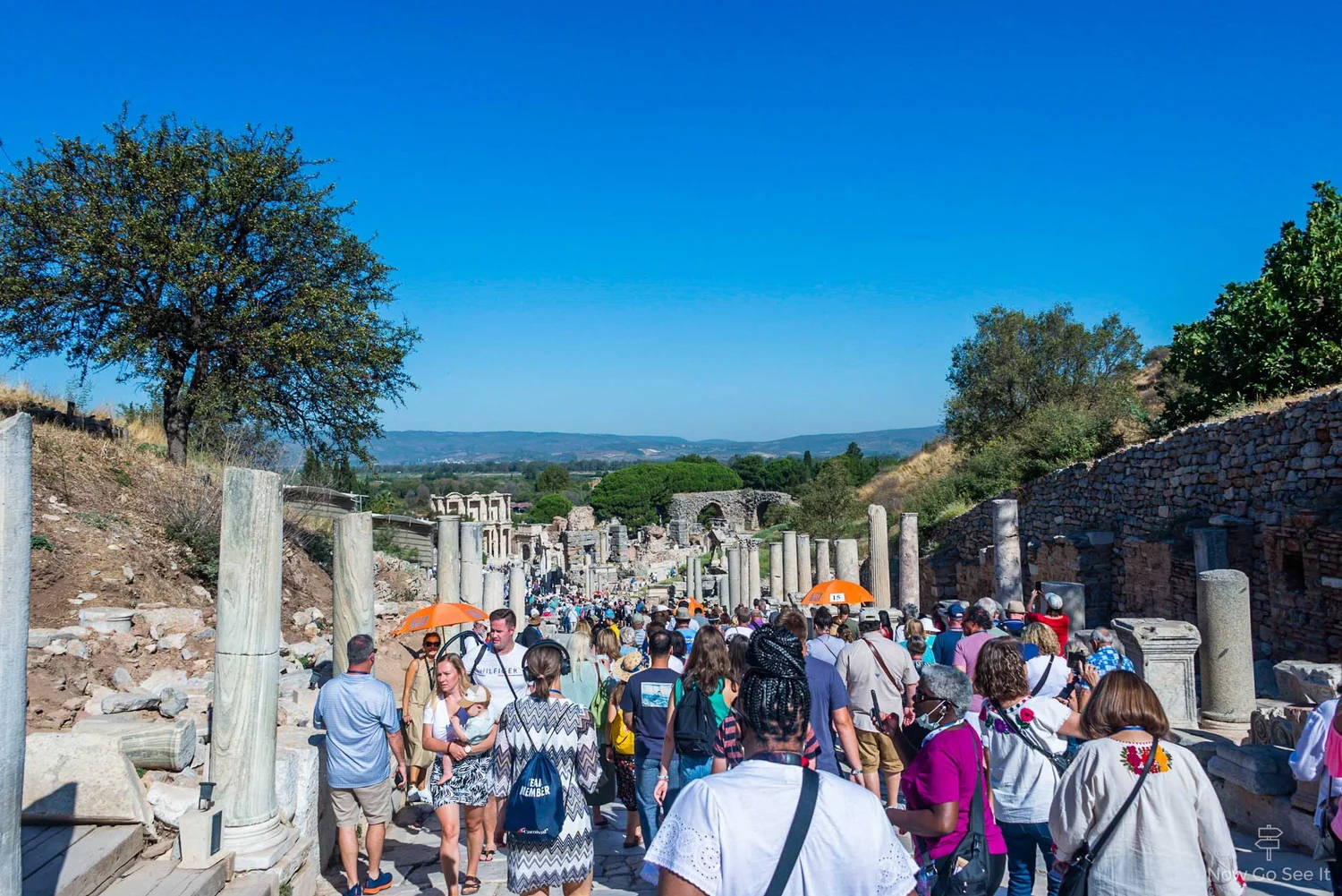 Ancient Ephesus from Cruise Port Kusadasi