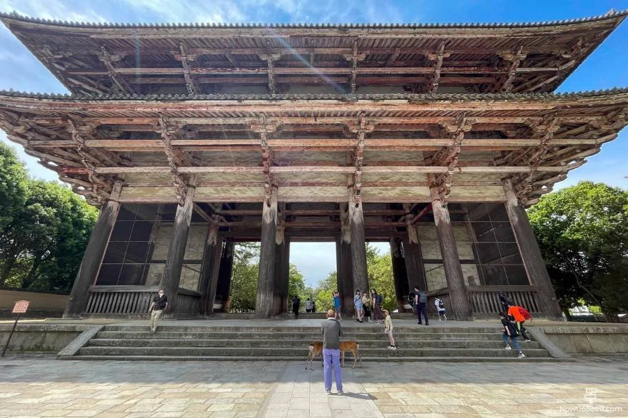 Nara Park Day Trip: Nara Half Day Itinerary (Osaka / Kyoto)